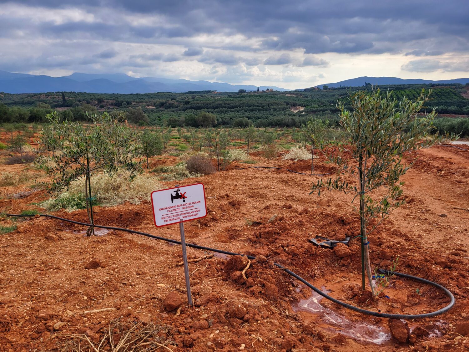 Βράβευση για την άρδευση καλλιέργειων με το νερό απο το βιολογικό ...